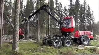 Big Fail Heavy Equipment Amazing tree cutting machine, Tree trimming ...