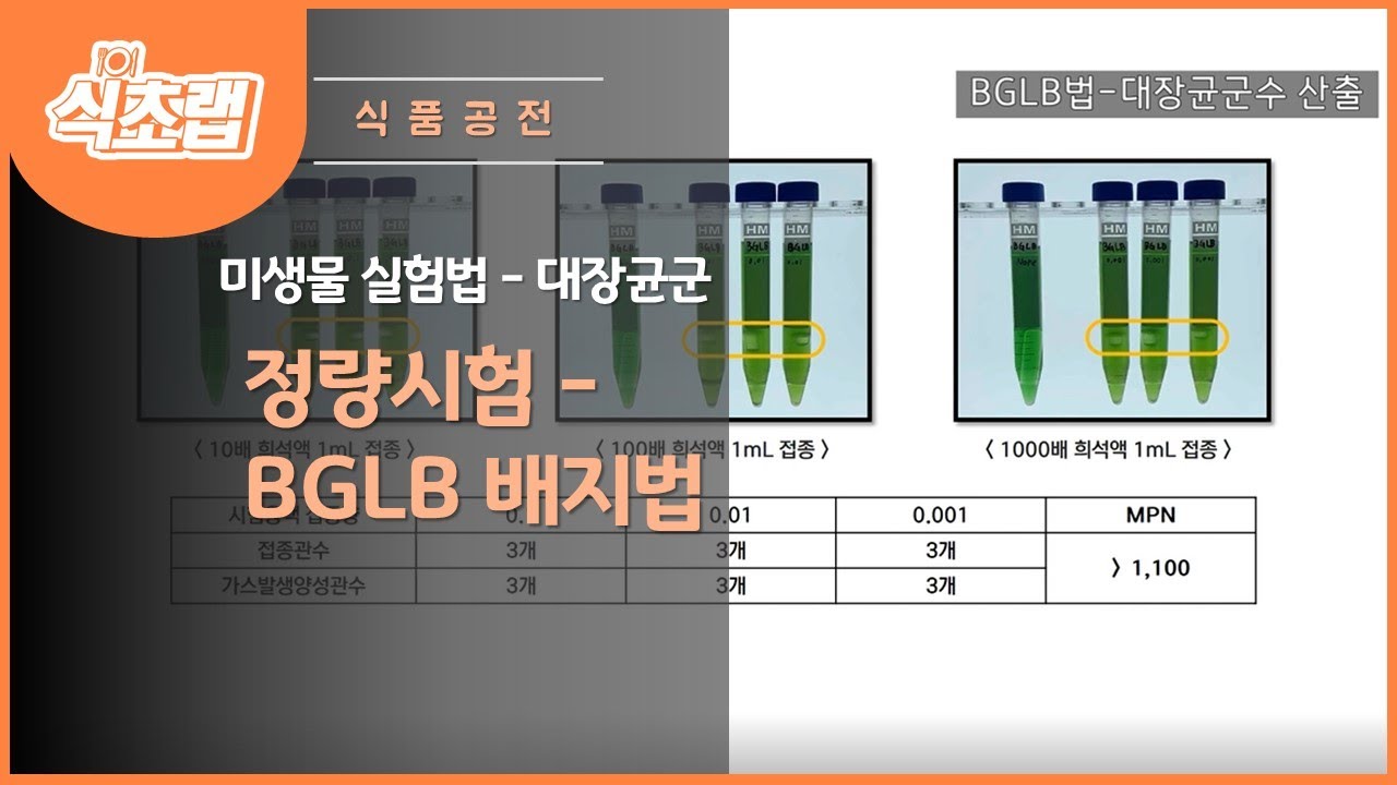 MBcell 식품공전 대장균군 정량시험 (BGLB 배지법) - YouTube