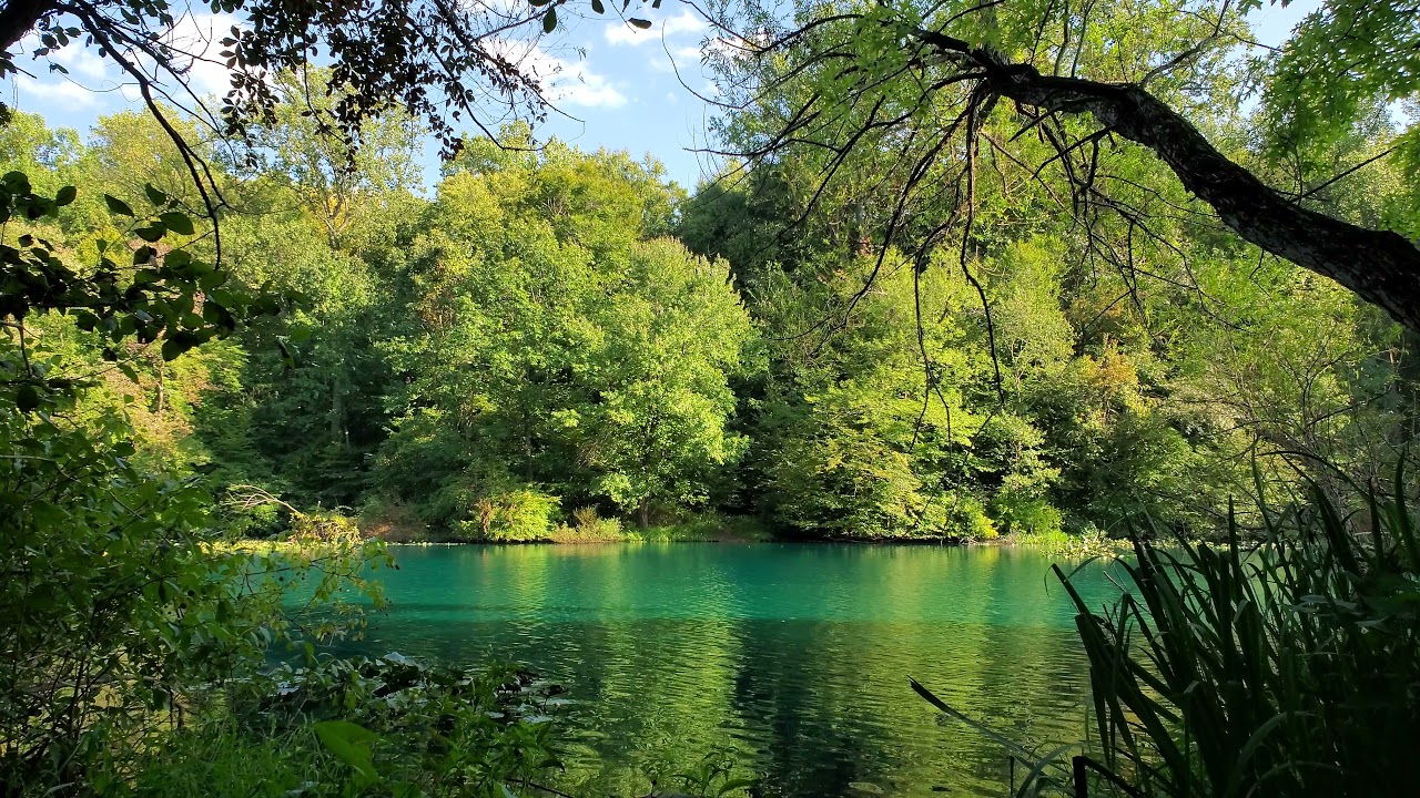 Beautiful Pond / Lake Scene Free B-Roll - YouTube
