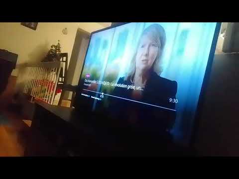 TFR productions adventures of zombies 3 clips series returning the ...