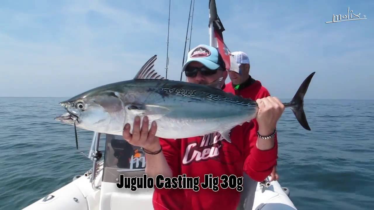 Come si pesca il Tonnetto alletterato in Adriatico - YouTube