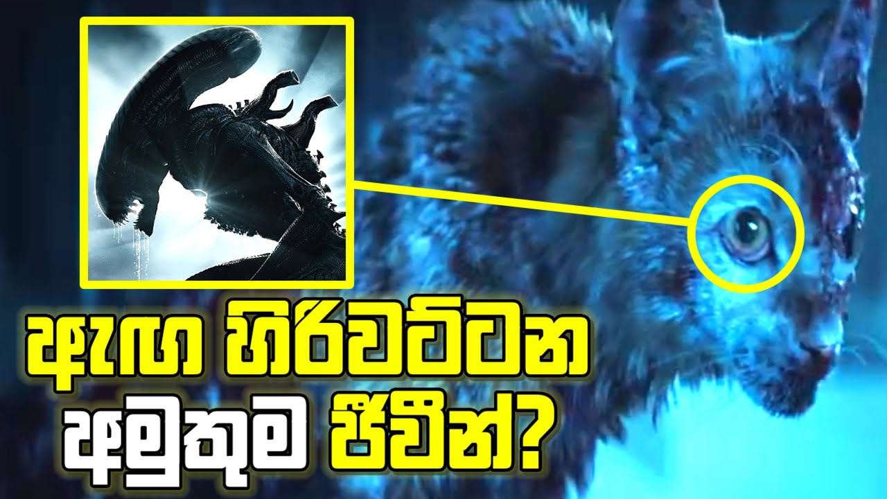 Alien Earth Episode 1 & 2 Full Detailed Breakdown/Recap - කවදාවත් දැකලා ...