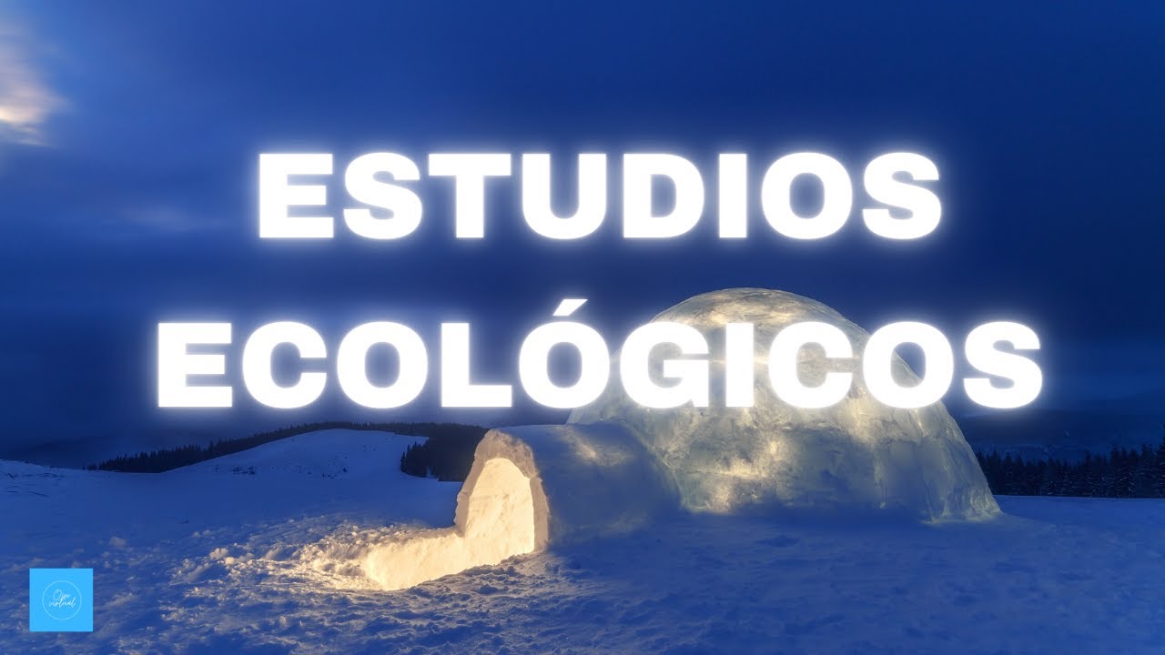 🕵️‍♀️ QUÉ SON los ESTUDIOS ECOLÓGICOS? #30. CARACTERÍSTICAS ESTUDIOS ...