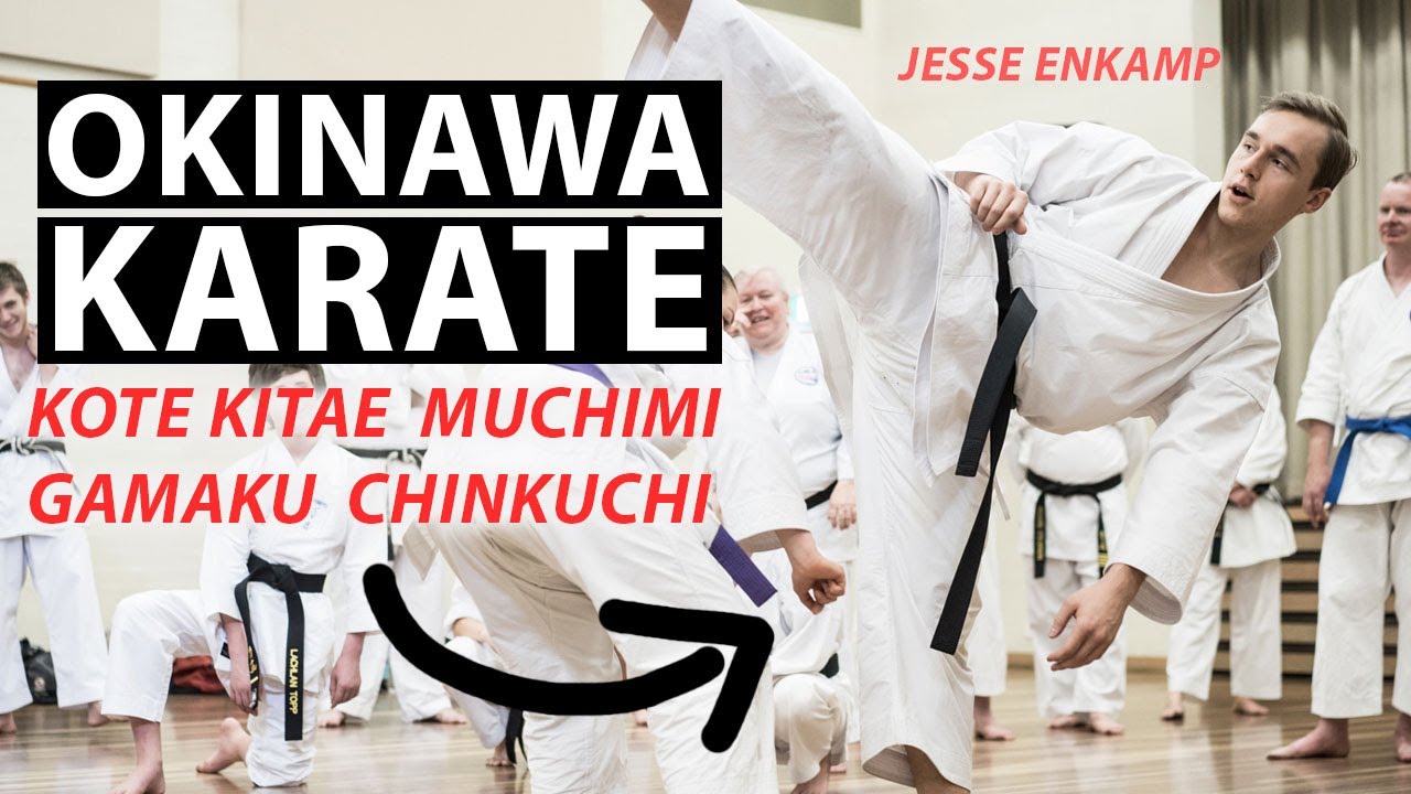 EPIC KARATE SEMINAR | Kote Kitae, Crossfit & Chinkuchi — Jesse Enkamp ...