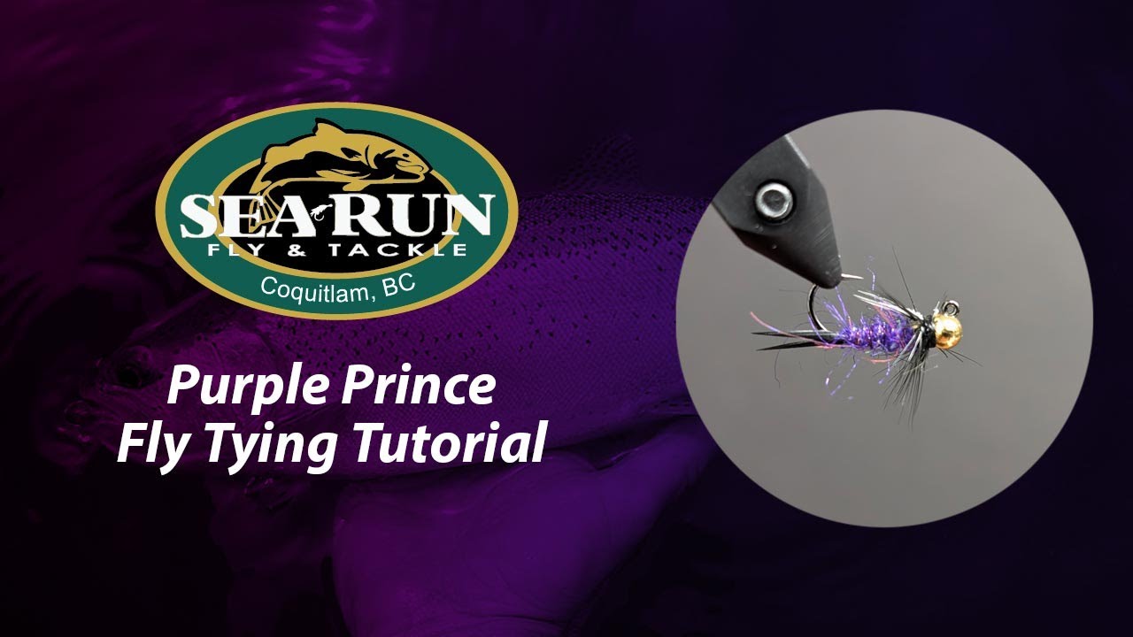 Purple Prince Nymph Fly Tying Tutorial #flytying - YouTube