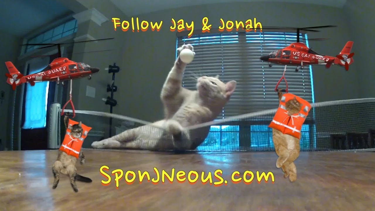 SuperStorm Cat - Spon-J-Neous - YouTube
