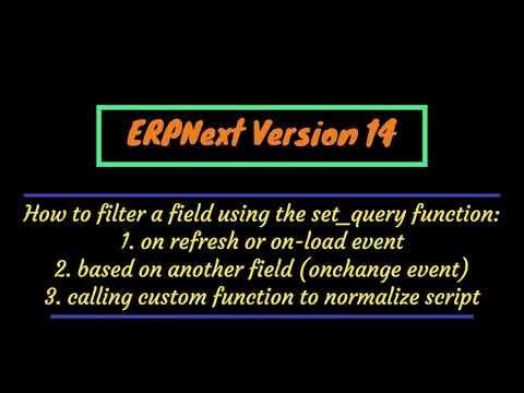 ERPNext V14: How to filter a field based on another field and calling a custom function - YouTube