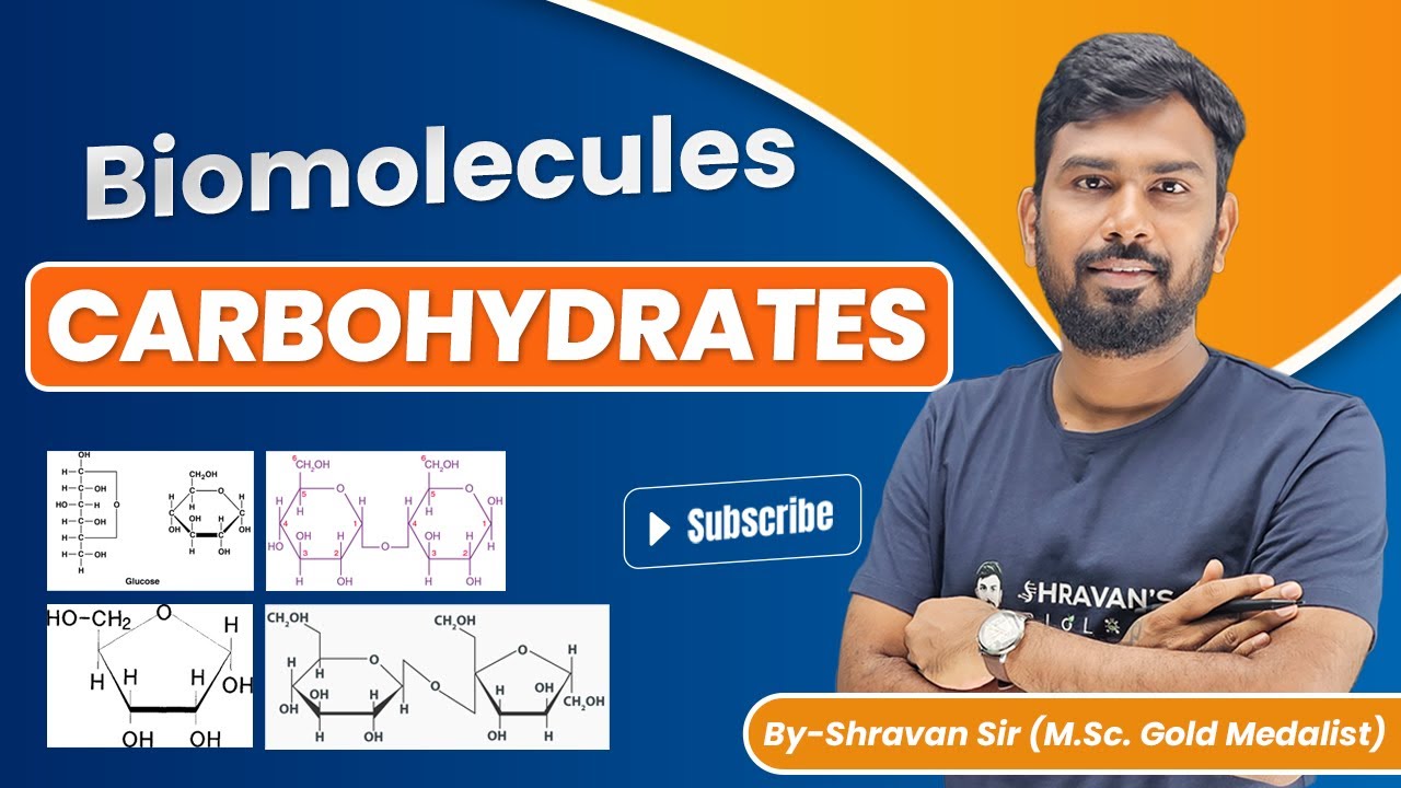 CARBOHYDRATES in detail | Biomolecules | NEET | - YouTube