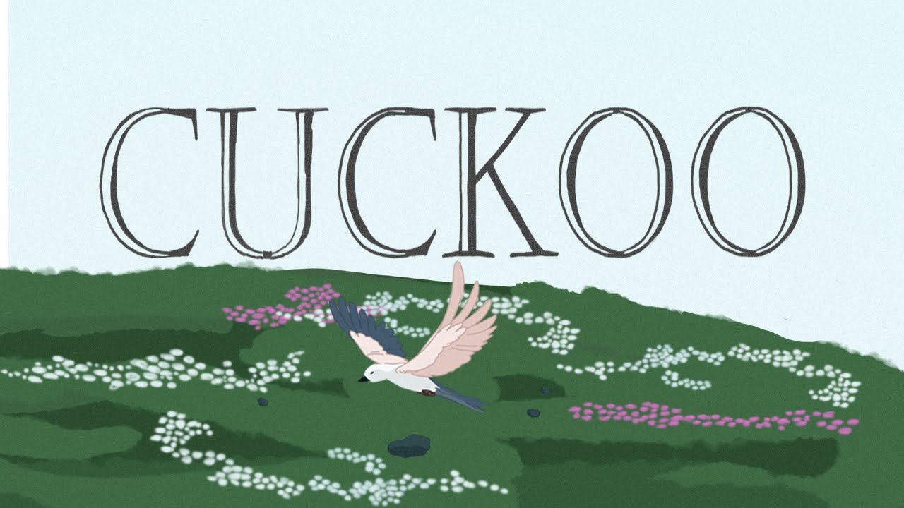 Cuckoo - YouTube