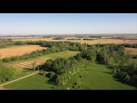 David Ekstrom Video Reel - YouTube