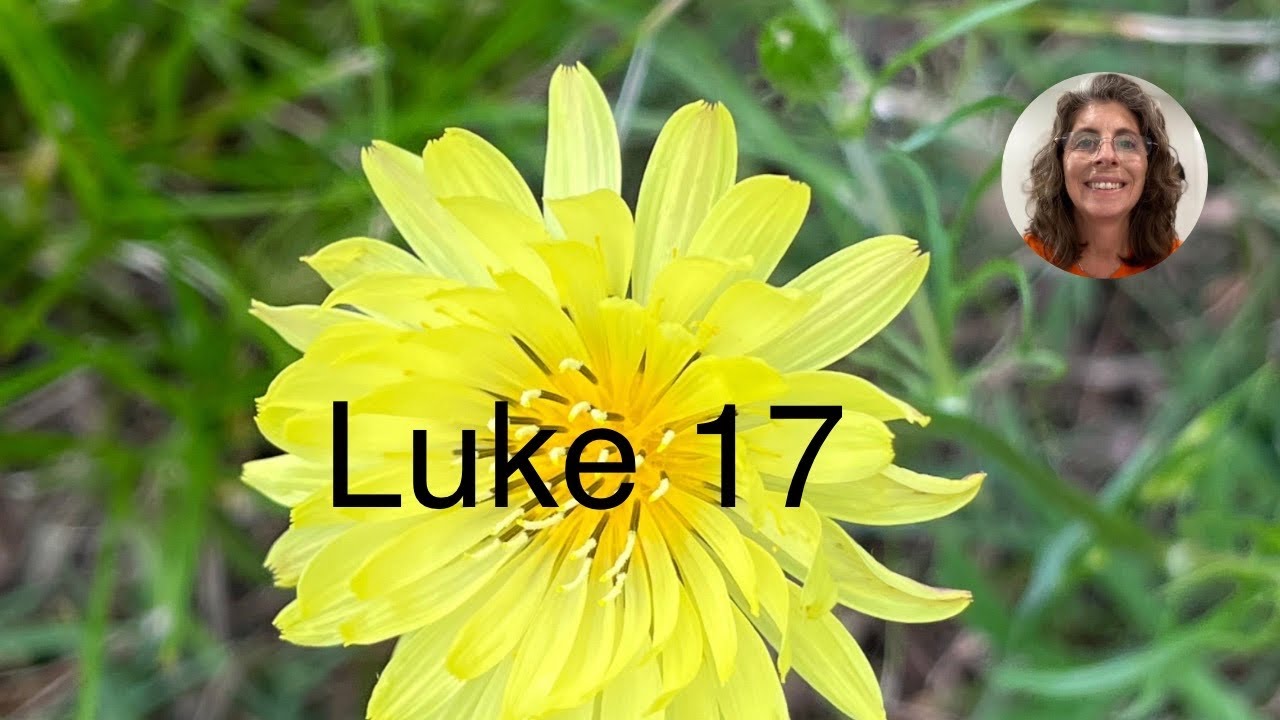 NT Luke 17 NKJV YouTube