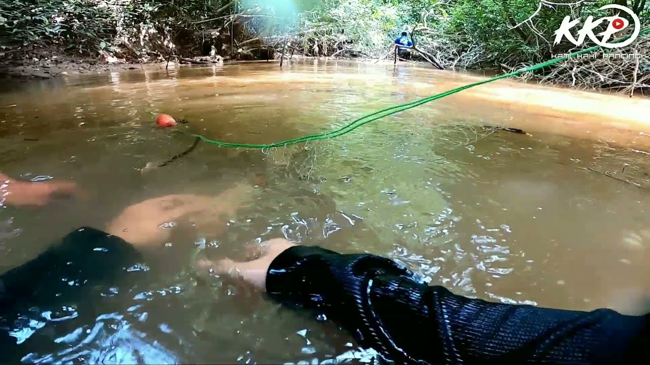 Menjaring Ikan Di Sungai Dalam Hutan - YouTube