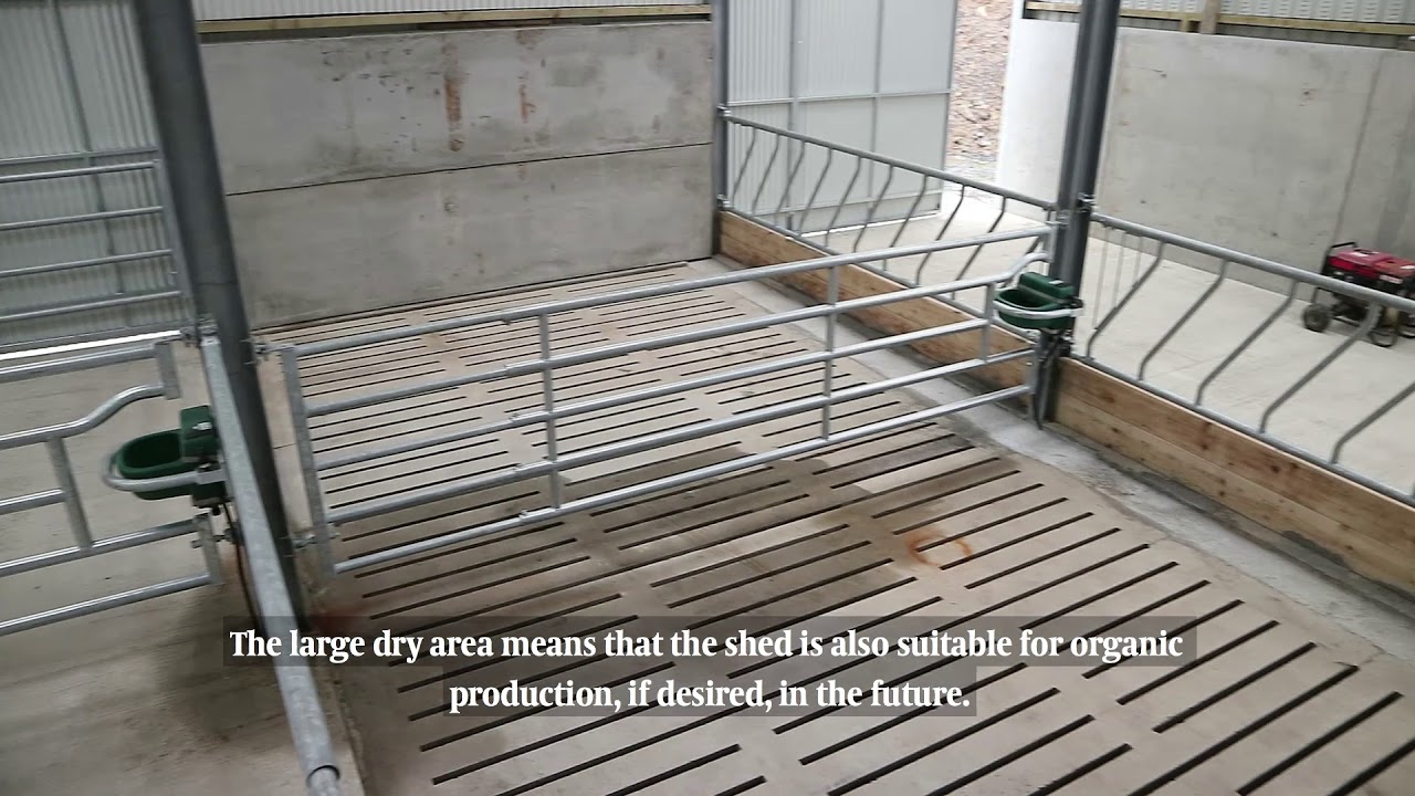 Farm Buildings: Unorthodox design for two bay suckler shed - YouTube