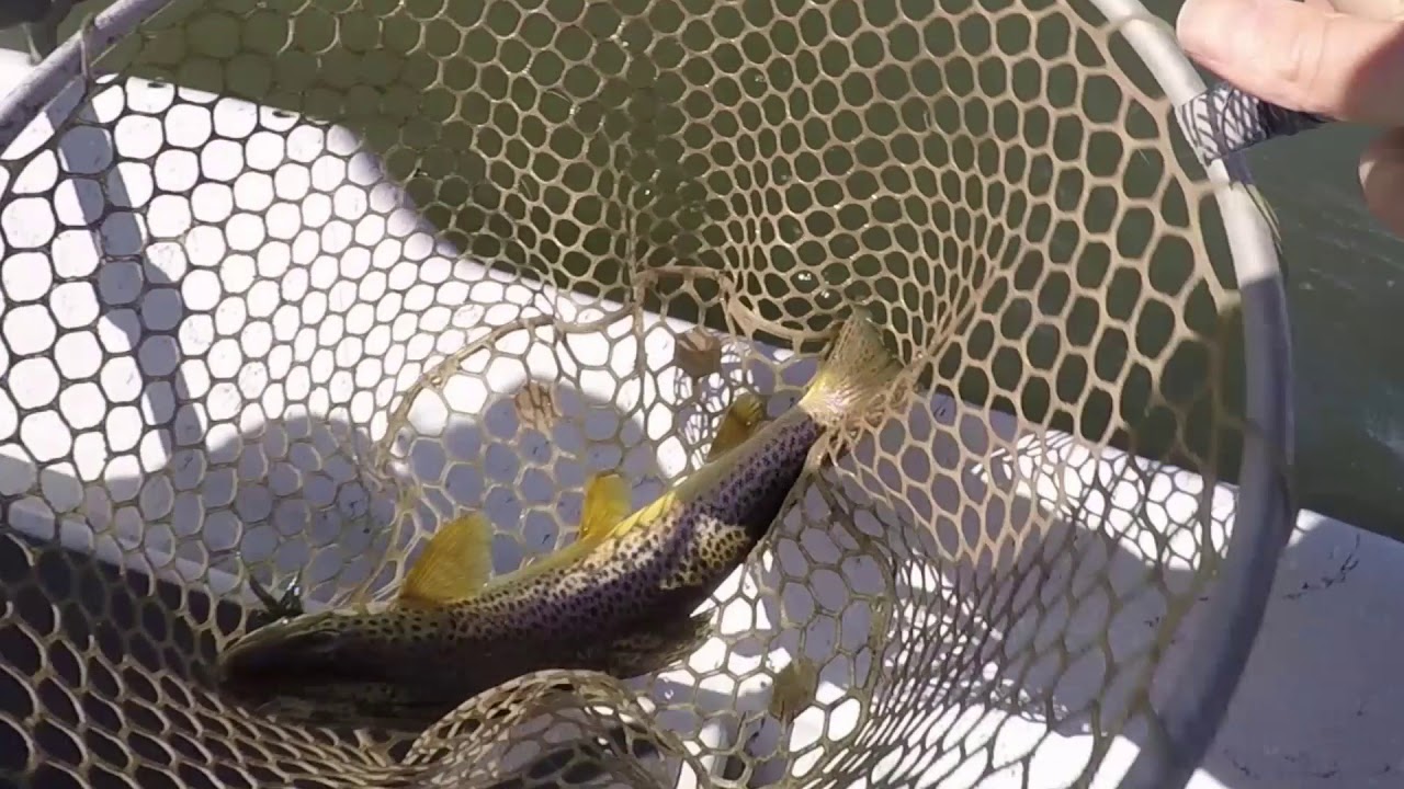 Yellowstone River Fall Streamer Brown - YouTube