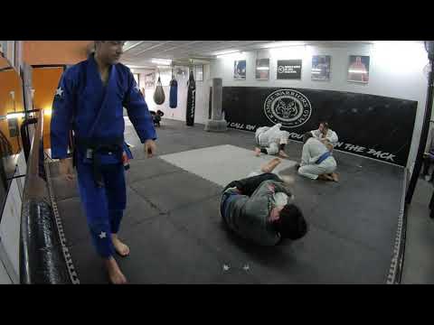 Jiu Jitsu Rolls - #176 - YouTube