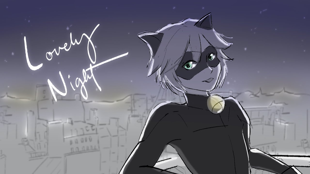 Lovely Night // Miraculous Ladybug Animatic - YouTube