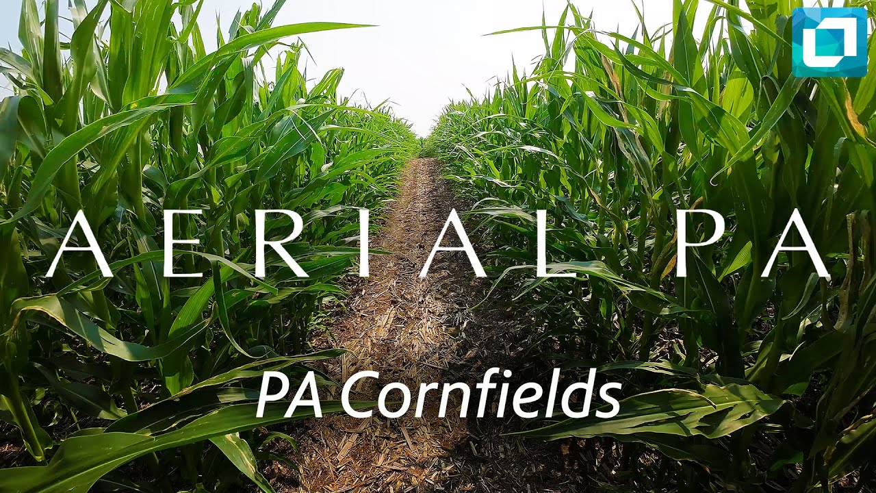 PA Cornfields | Aerial PA - YouTube
