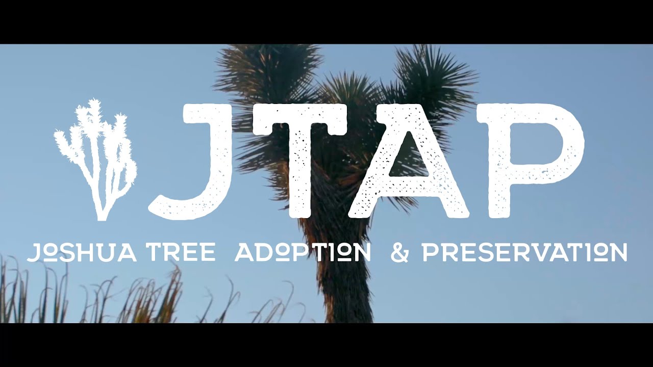 JTAP - YouTube