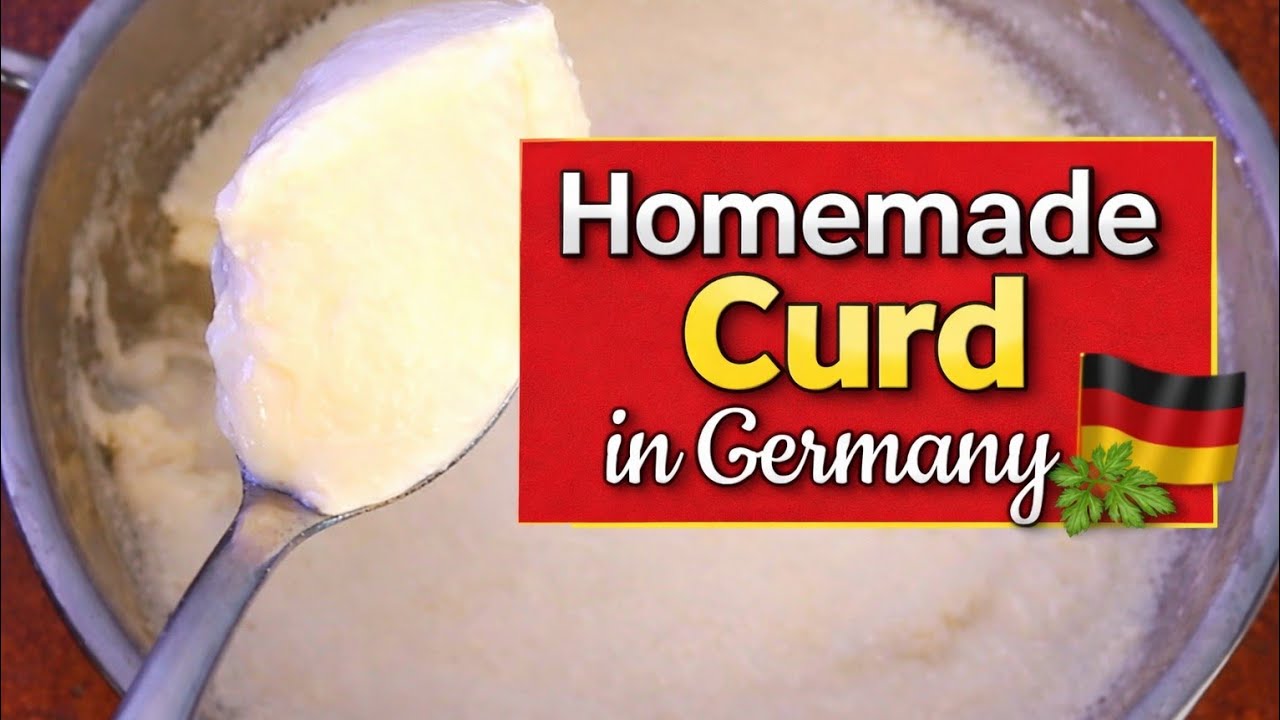 How to make thick curd in Germany | curd in cold weather |it reverses ...