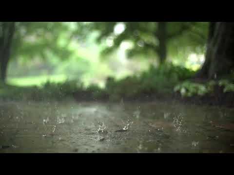 3 Hours of Soothing Gentle Rain Sound. ( No Ads )