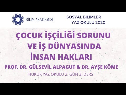 Çocuk İşçiliği Sorunu ve İş Dünyasında İnsan Hakları- Gülsevil Alpagut & Ayşe Köme (Hukuk Yaz Okulu)
