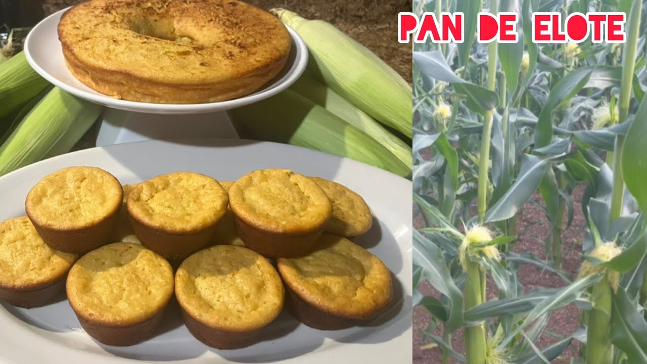Como hacer pan de elote suave y esponjoso 🌽🌽🇲🇽#comidamexicana 🇲🇽 - YouTube