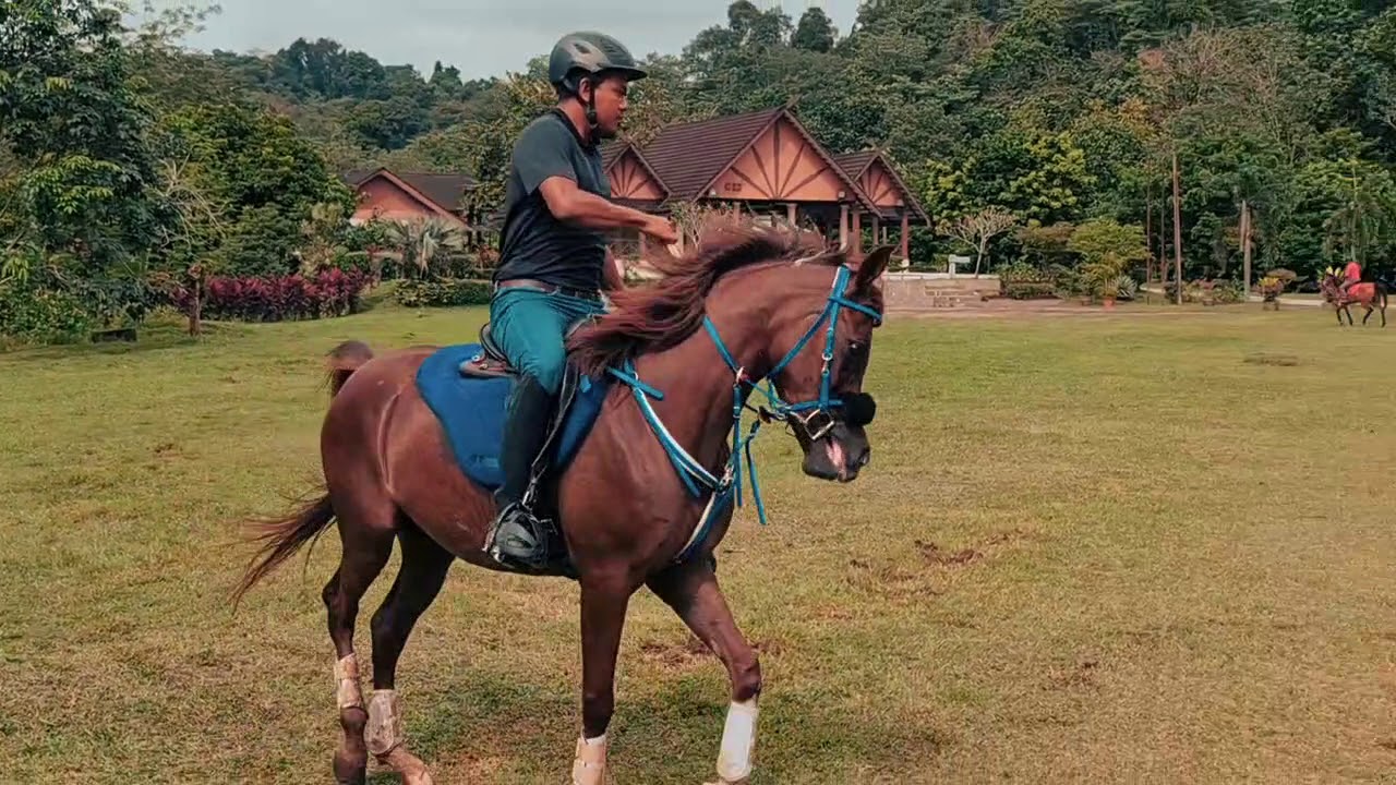 Barabian Rider @ Maeps - YouTube