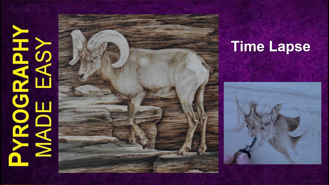 Wood Burning Art - BIGHORN SHEEP - pyrography time lapse art - YouTube