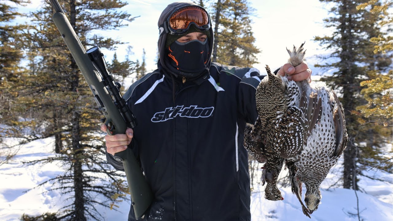 Spring Ptarmigan & Grouse Cookout | Small Game Hunting in Alaska - YouTube