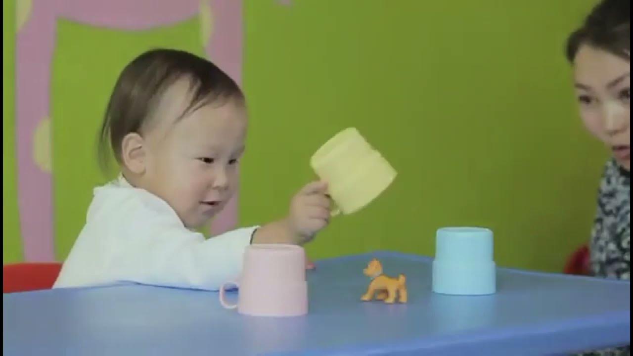 Бага насны хүүхдийн хөгжлийн хяналт ба эрт үеийн дэмжлэгийг сайжруулах