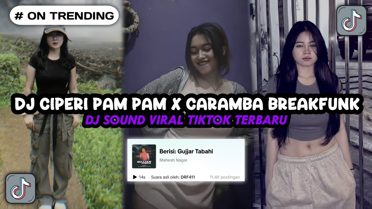 Dj Ciperi Pam Pam X Caramba Breakfunk Fyp TikTok | Dj Sound Viral ...