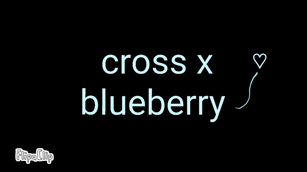 Cross x blueberry part 1 - YouTube