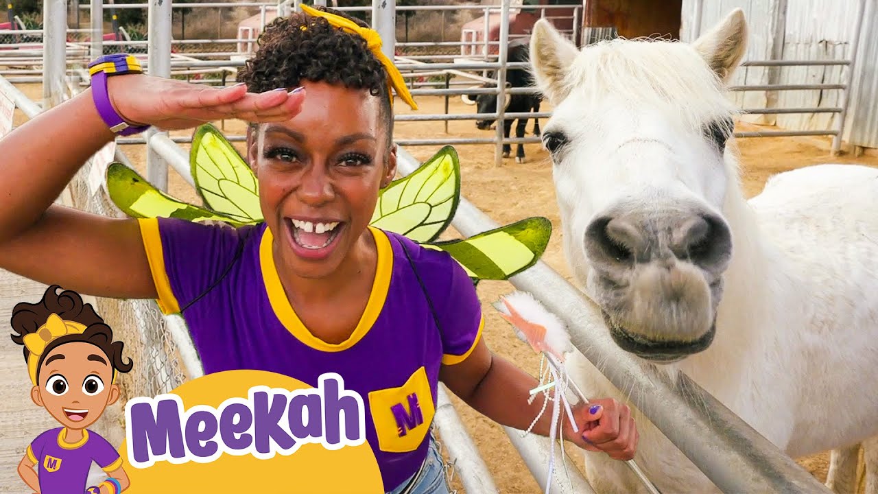 Fairy Meekah Grants Wishes to Animals at the Zoo! | Meekah Full ...