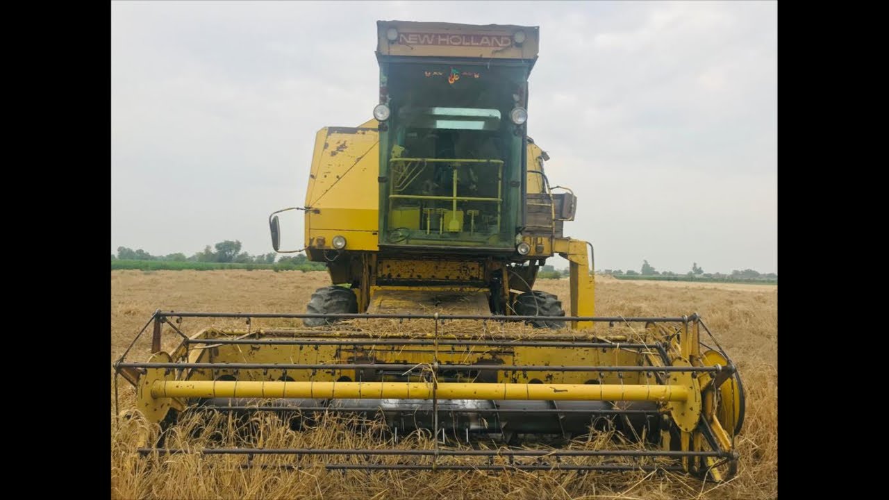 Gandum di katai live ♥️ - YouTube