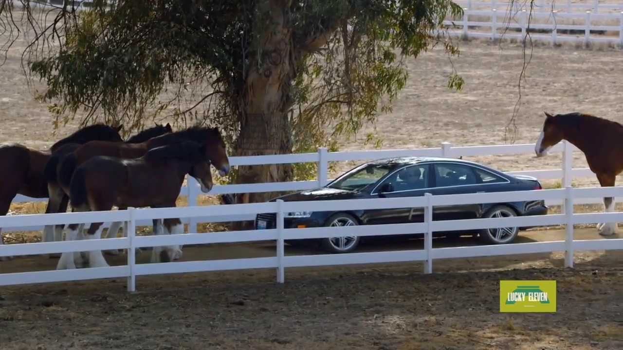 Budweiser "Puppy Love" Super Bowl XLV111 Commercial 2014 - YouTube