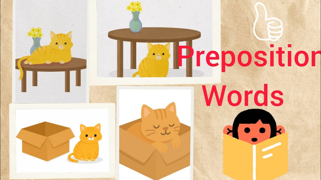 Where is the cat? preposition words | part 1 | kidslearning|#education ...