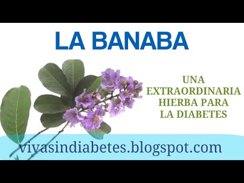 Banaba, Una Extraordinaria Hierba Medicinal para Combatir la Diabetes ...