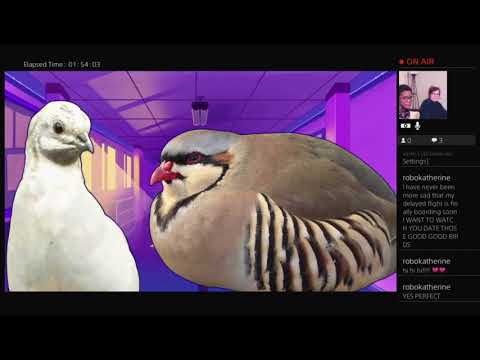 Bird Dating Simulator--THE SADDEST BIRD TO DATE (Part 8) - YouTube
