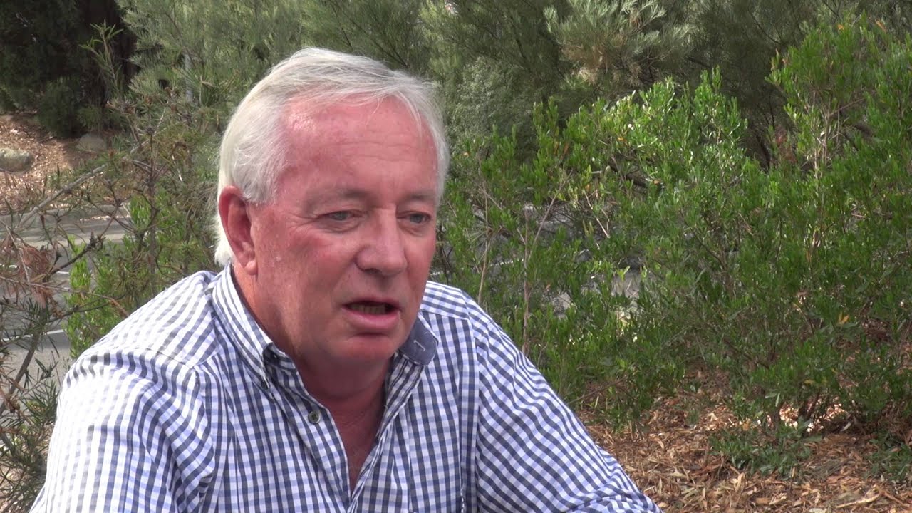Rob Sharpe on Extending Tram 75 to Westfield Knox - YouTube
