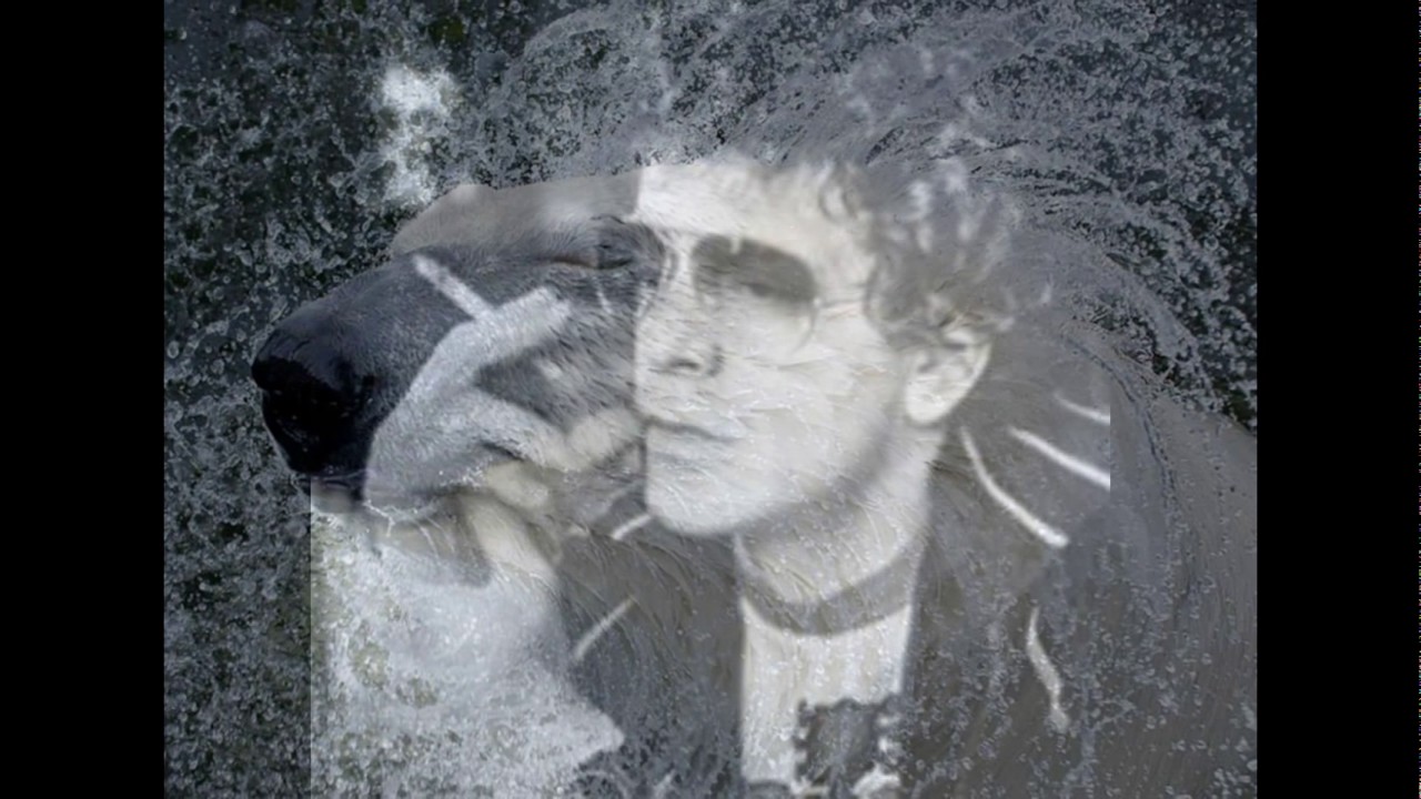 Surfing Llama / Bird Creek - YouTube
