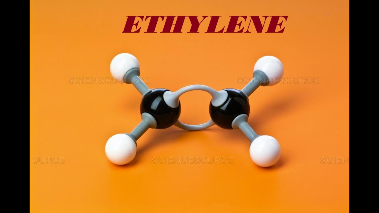 Ethylene bond formation - YouTube