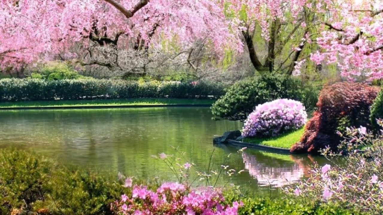 Cozy Spring Ambience by the River - YouTube