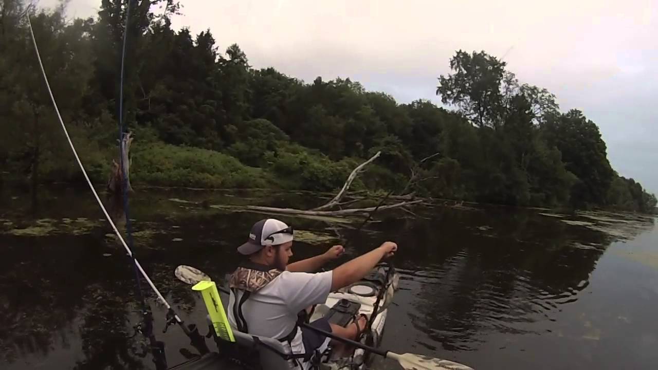 Pymie Slop Fishing In Cuda 12!!! - YouTube