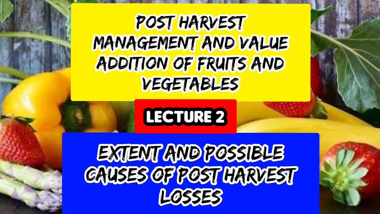 Extent and Possible Cause of Post Harvest Losses | BSc Agriculture 6th ...
