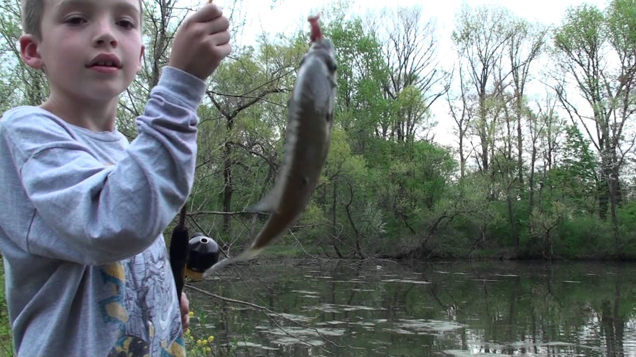 How to catch Sunnies (Bluegills) fishing with my kid - YouTube
