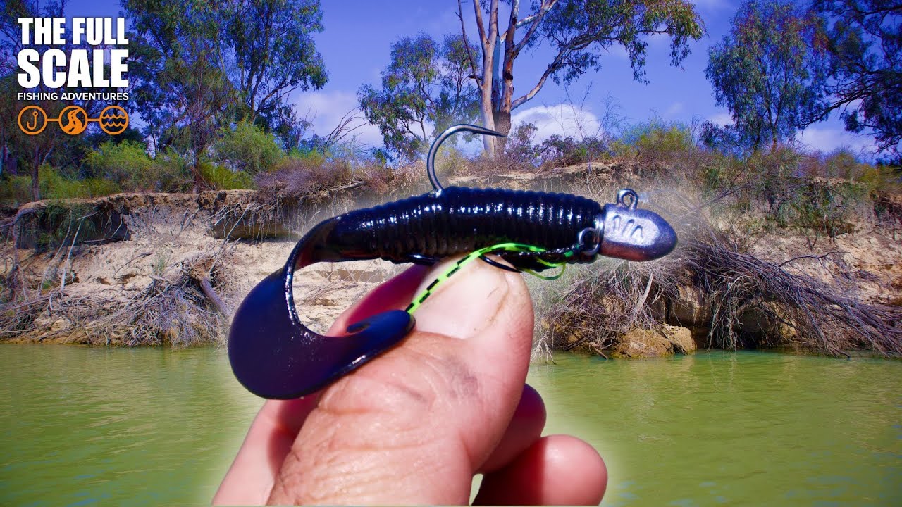 Murray River Golden Perch | The Full Scale - YouTube
