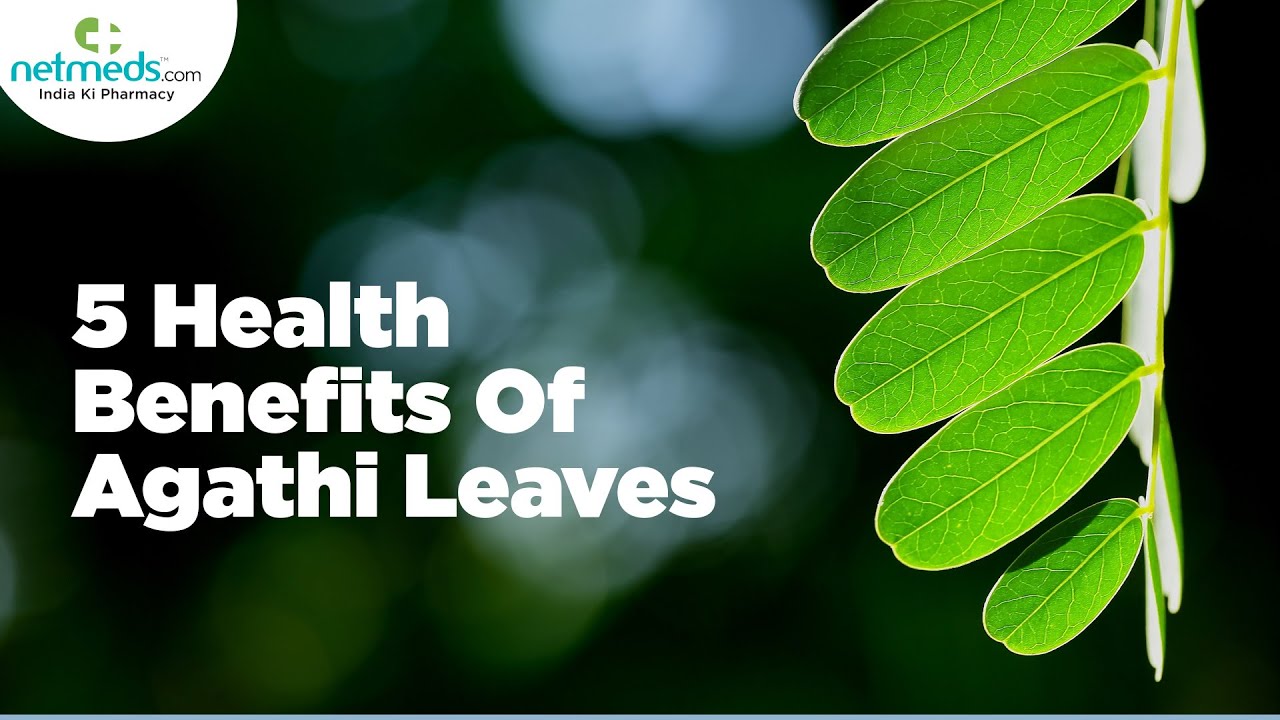 5 Incredible Health Benefits Of Agathi Keerai/Agathi Leaves - YouTube