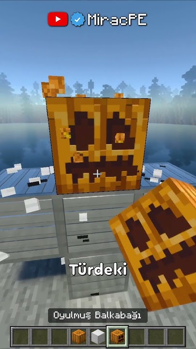 Minecraft'ta Java Ve Bedrock Sürümündeki 4 Fark 🧡💎 - YouTube