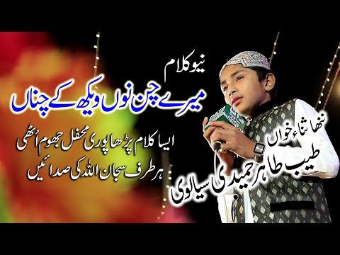 Mere Chan nu wekh k chana _ by Tayyab Tahir Hameedi Sialvi_ beautifull kalam