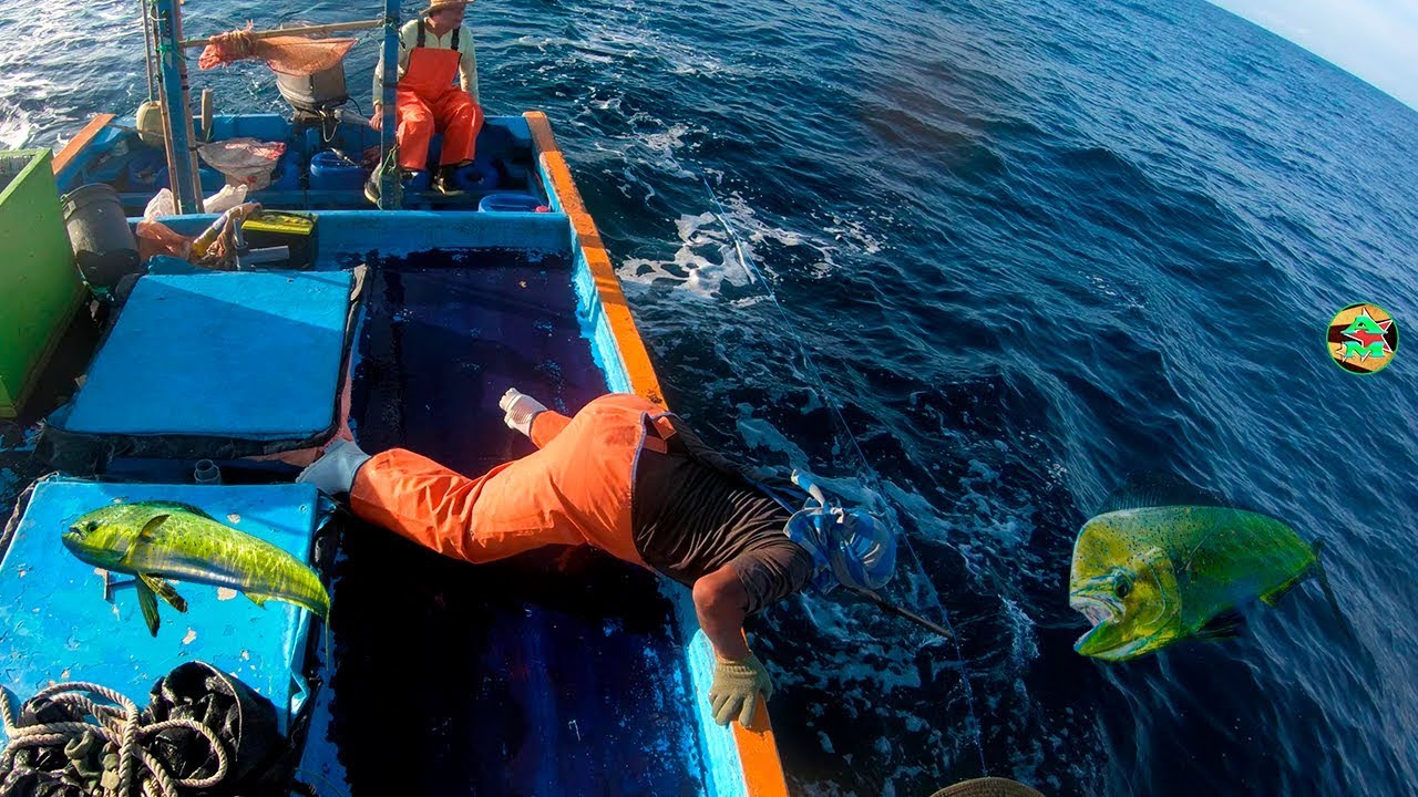 INCREÍBLES PESCAS DE DORADOS PERICOS con Linea de Mano - Pesca en Alta ...